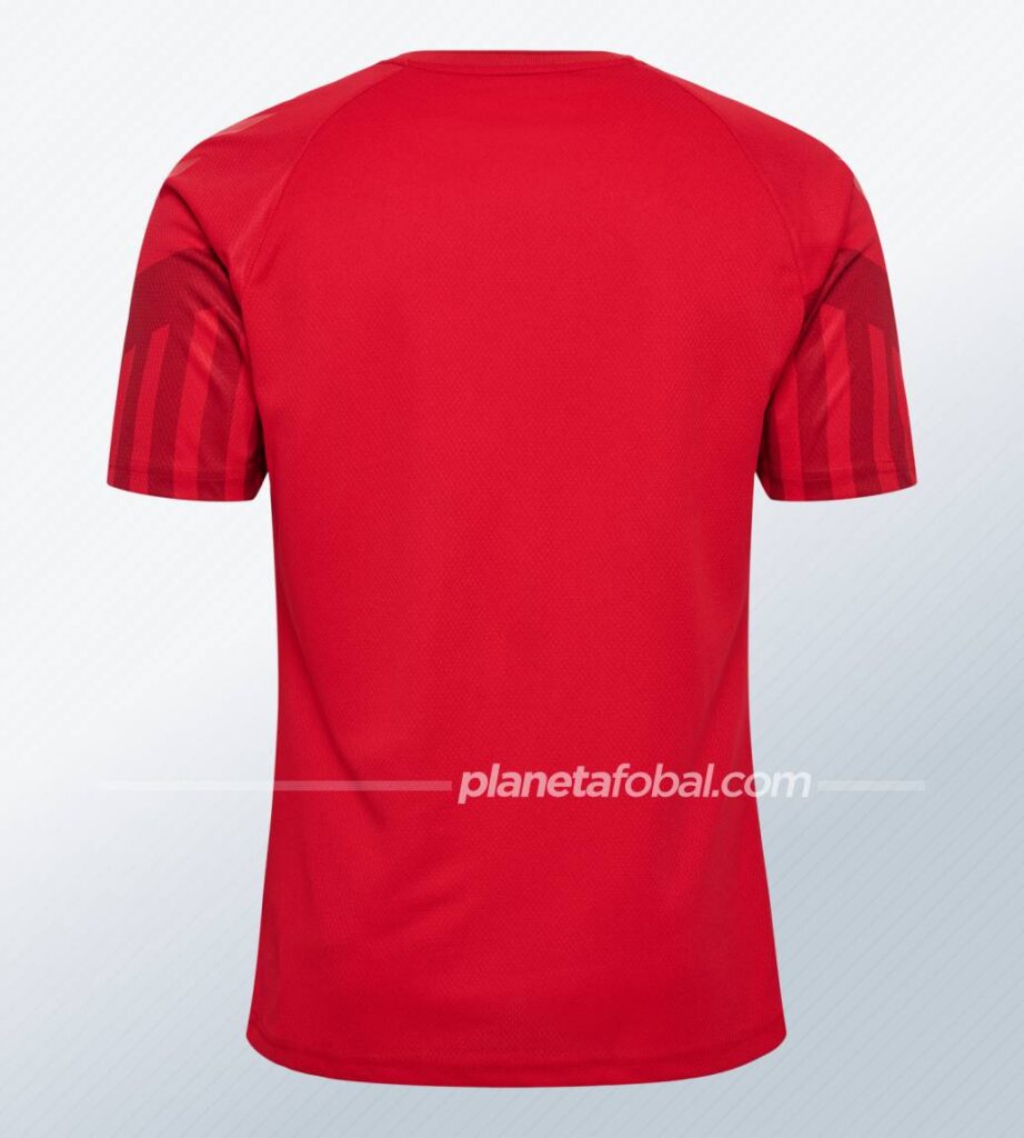 Camisetas Hummel de Dinamarca Mundial 2022